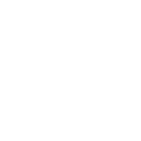 Echo Pulse Sync - Plans